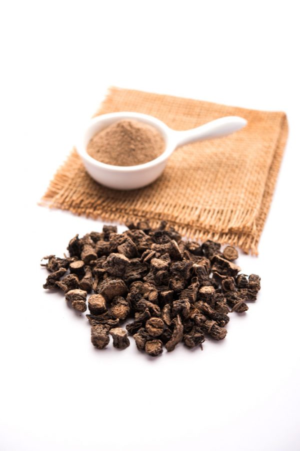 Musli Powder - 4 Best Benefits - Granniez Green Herbs